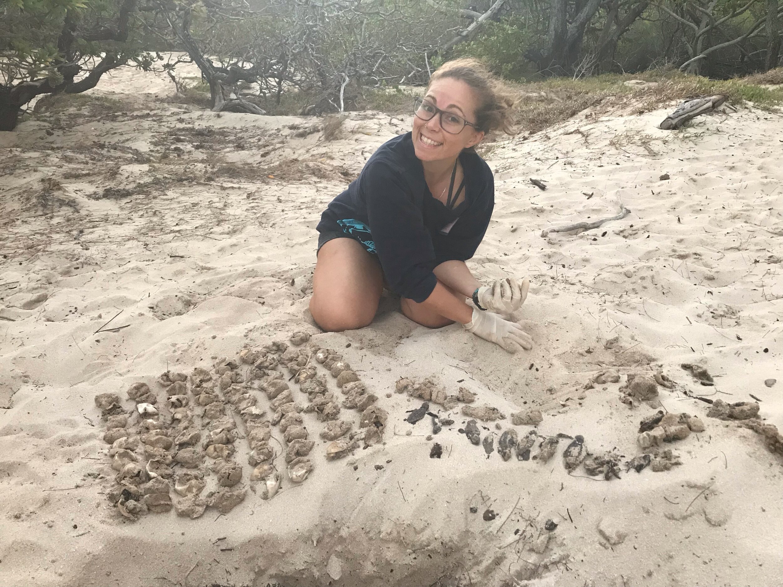 Nikki Daley — The Sirene Project